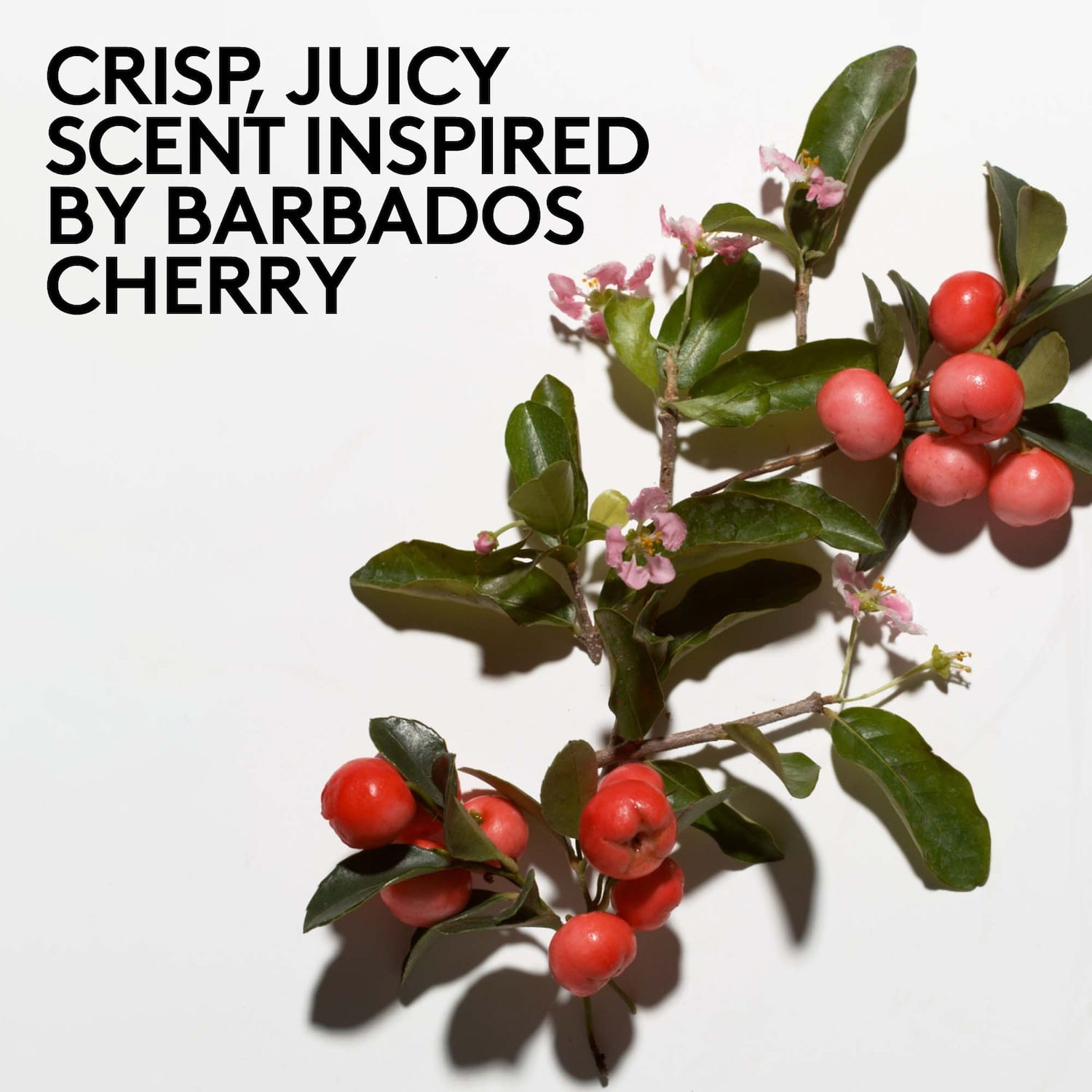 Cherry Dub Triple Action Aha Body Scrub | Oprah Daily Shop